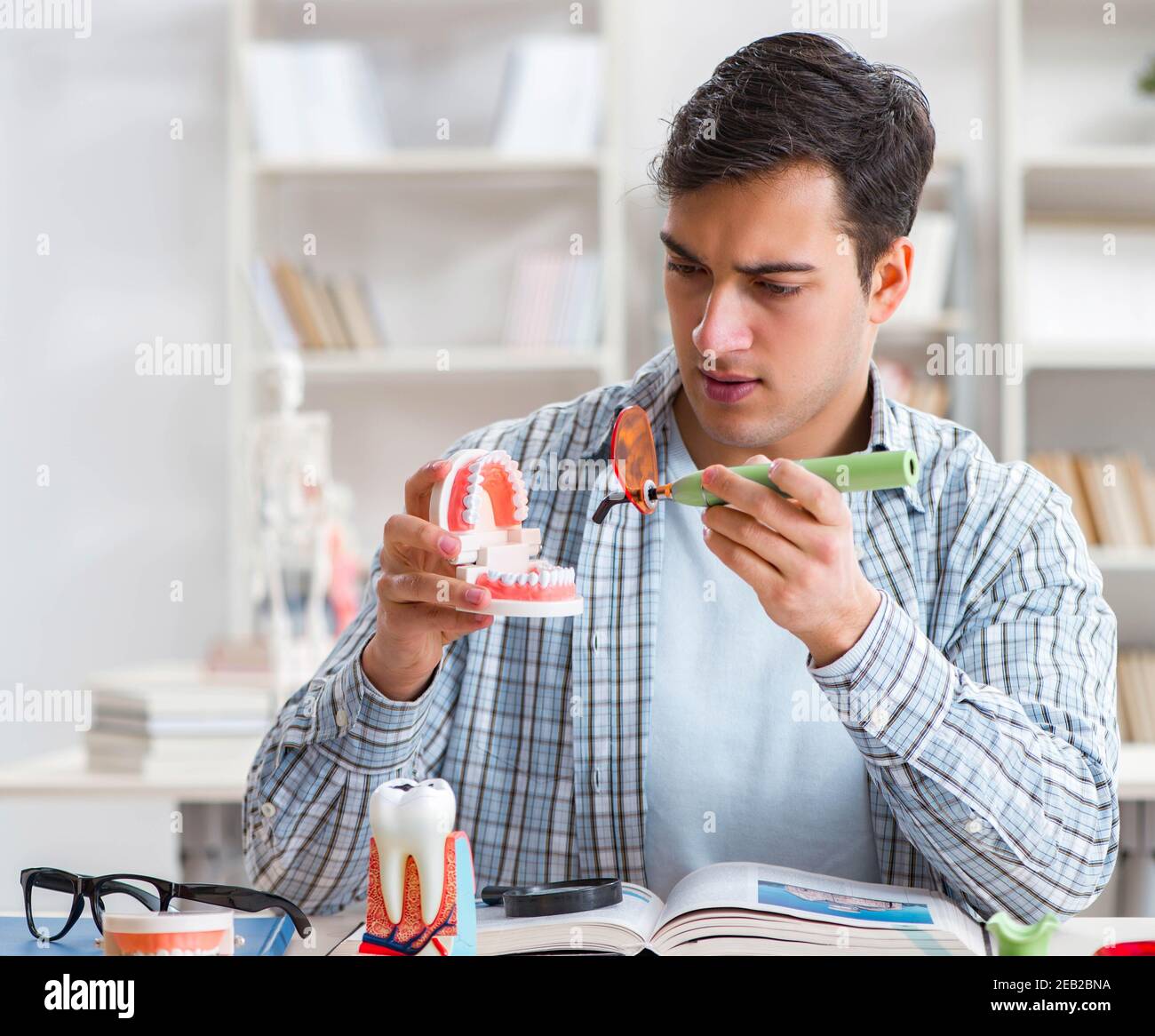 The medical student learning dentistry in classroom Stock Photo - Alamy