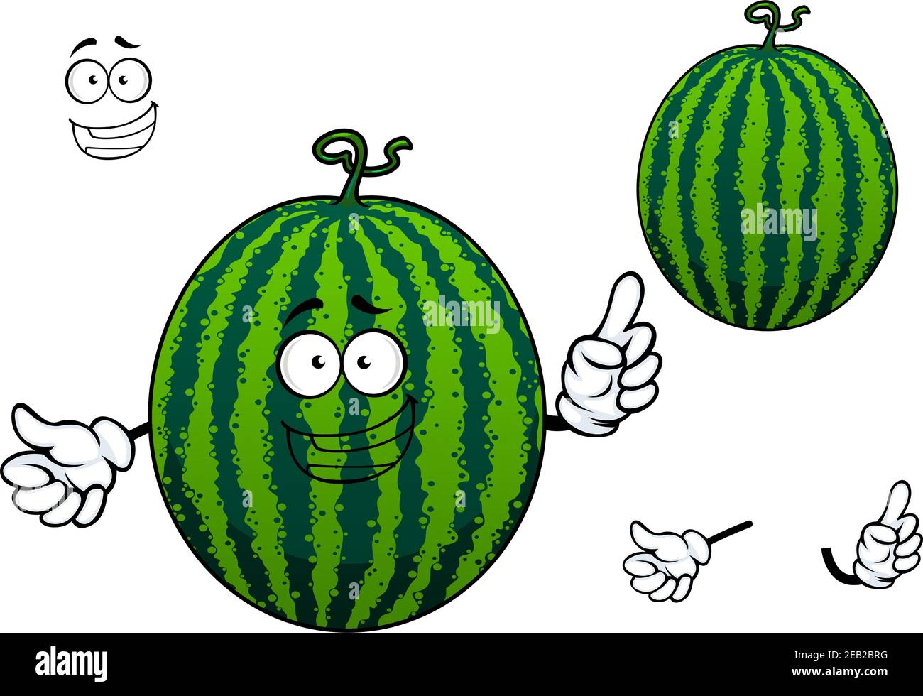 Sweet green striped cartoon watermelon fruit character with smooth ...