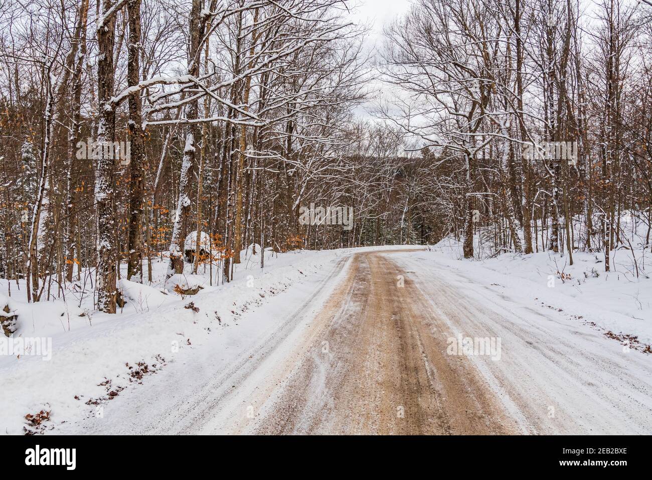 Hawk Lake Log Chute Algonquin Highlands Haliburton County Ontario ...
