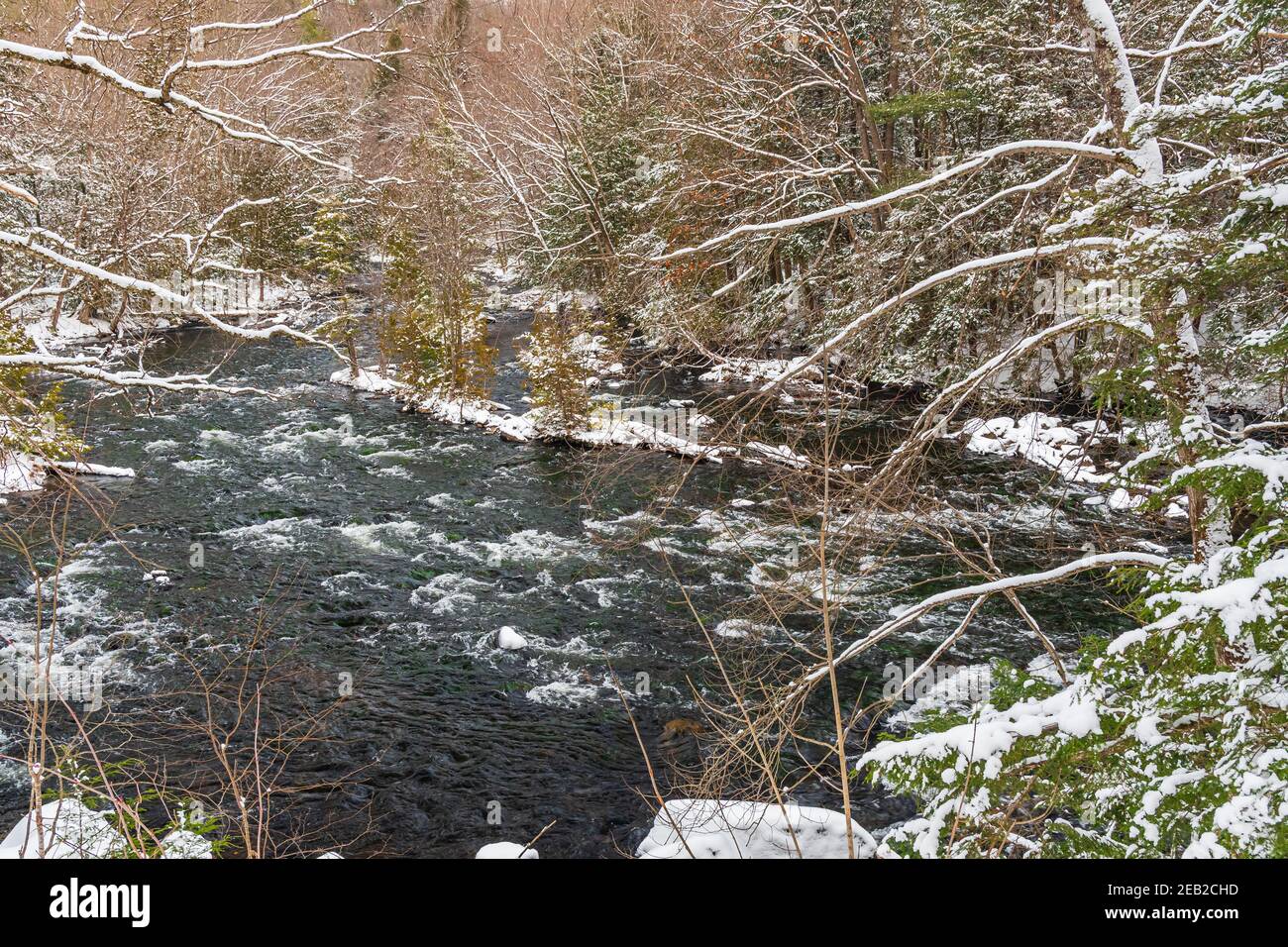 Hawk Lake Log Chute Algonquin Highlands Haliburton County Ontario ...