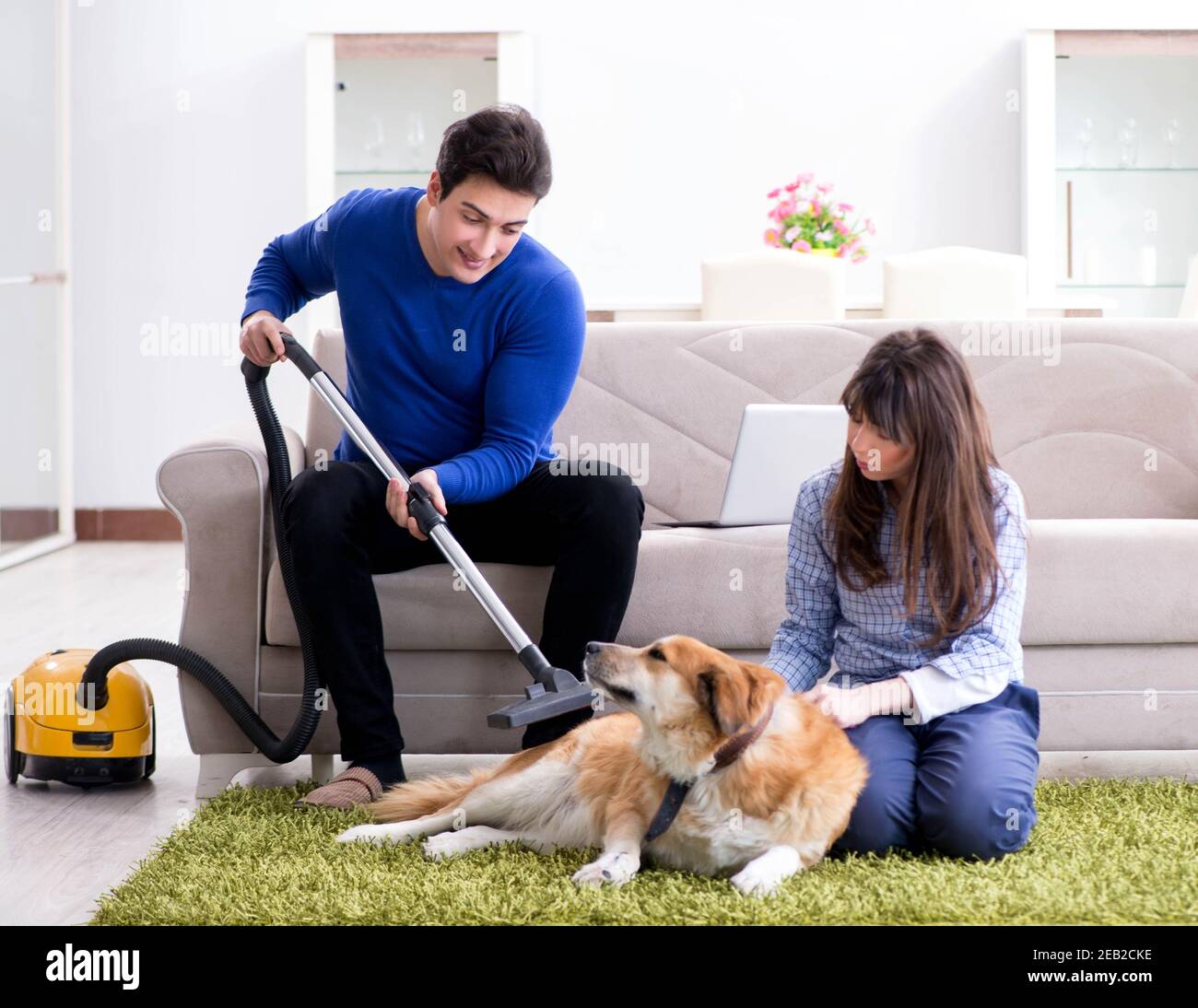 The husband cleaning house from dog fur Stock Photo - Alamy