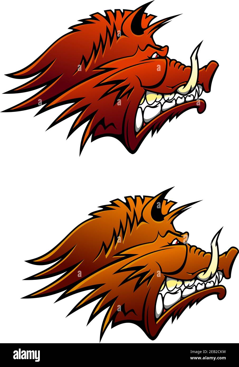 Wild boar head with aggressive sharp tusks, for sporting mascot ...