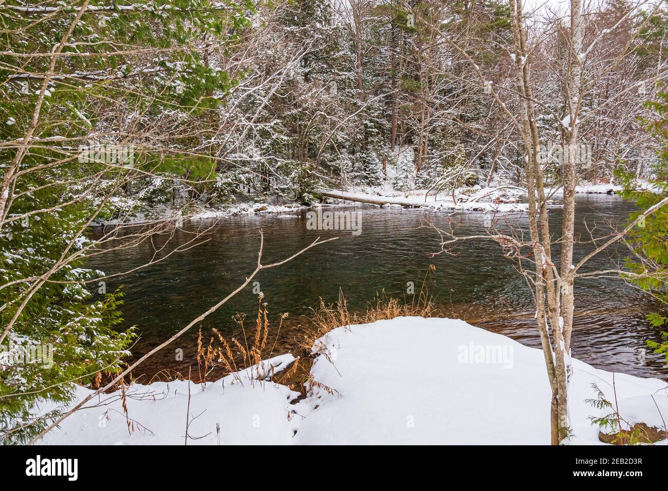 Hawk Lake Log Chute Algonquin Highlands Haliburton County Ontario ...