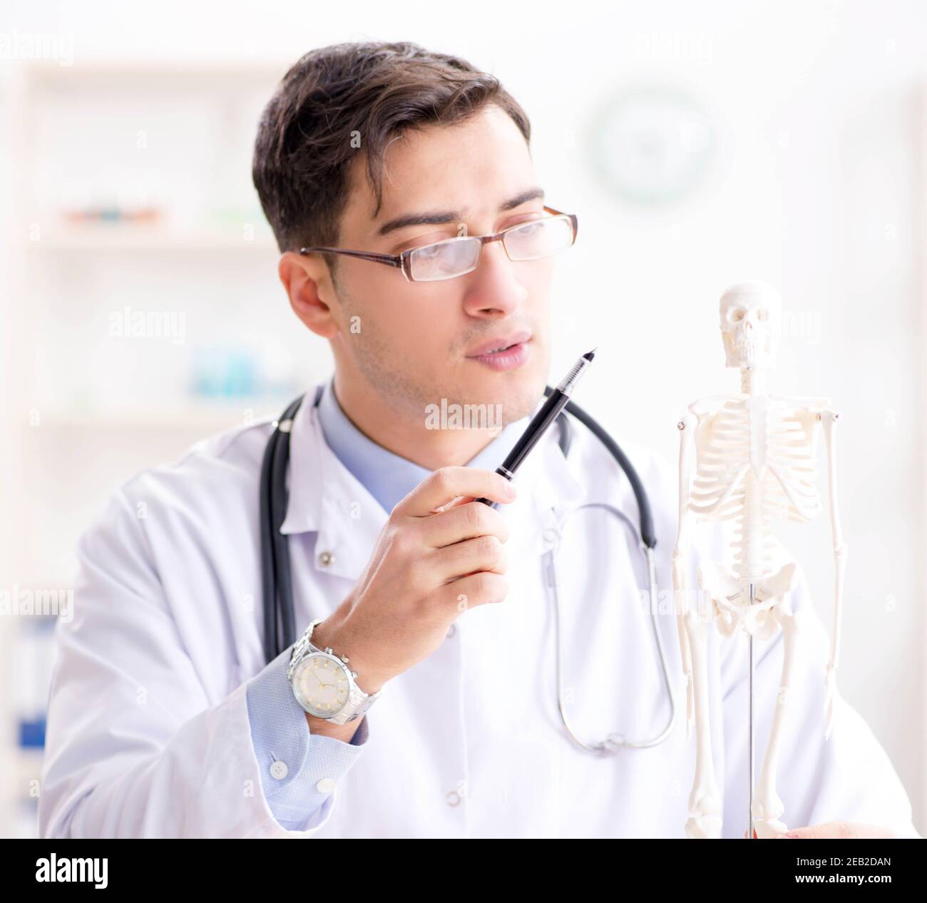 The doctor explaining human body on skeleton Stock Photo - Alamy