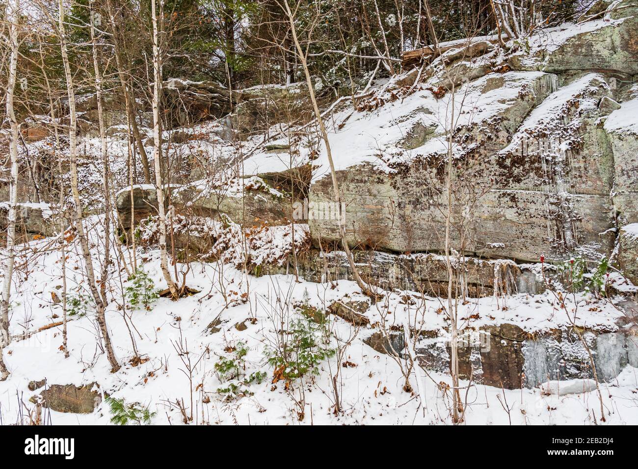 Hawk Lake Log Chute Algonquin Highlands Haliburton County Ontario ...