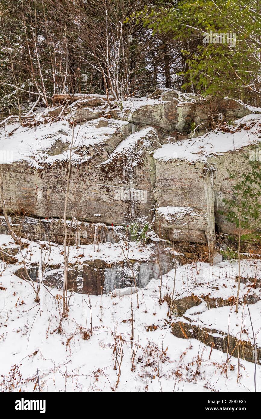 Hawk Lake Log Chute Algonquin Highlands Haliburton County Ontario ...