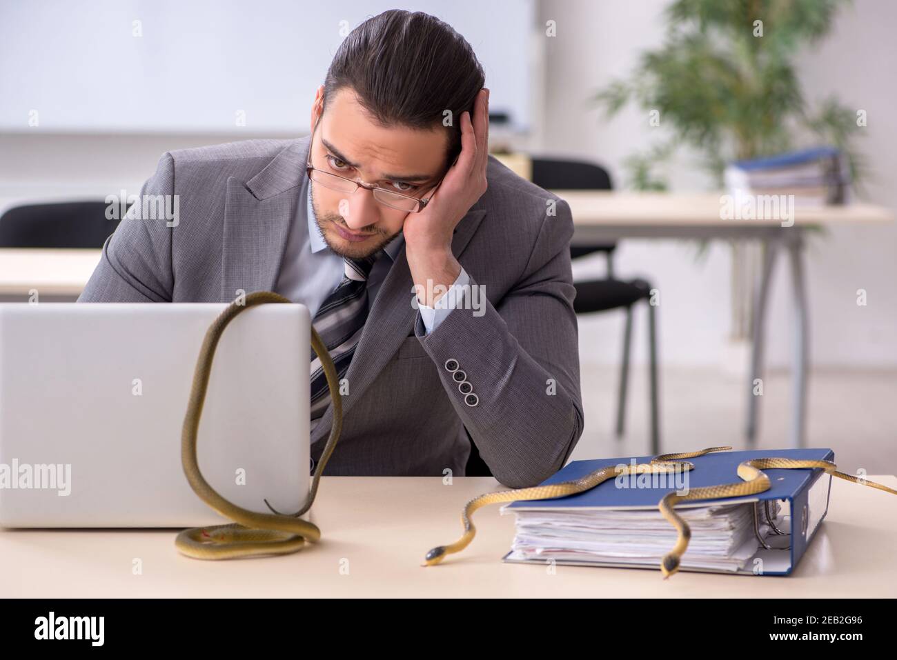 Male employee with snake in the office Stock Photo - Alamy