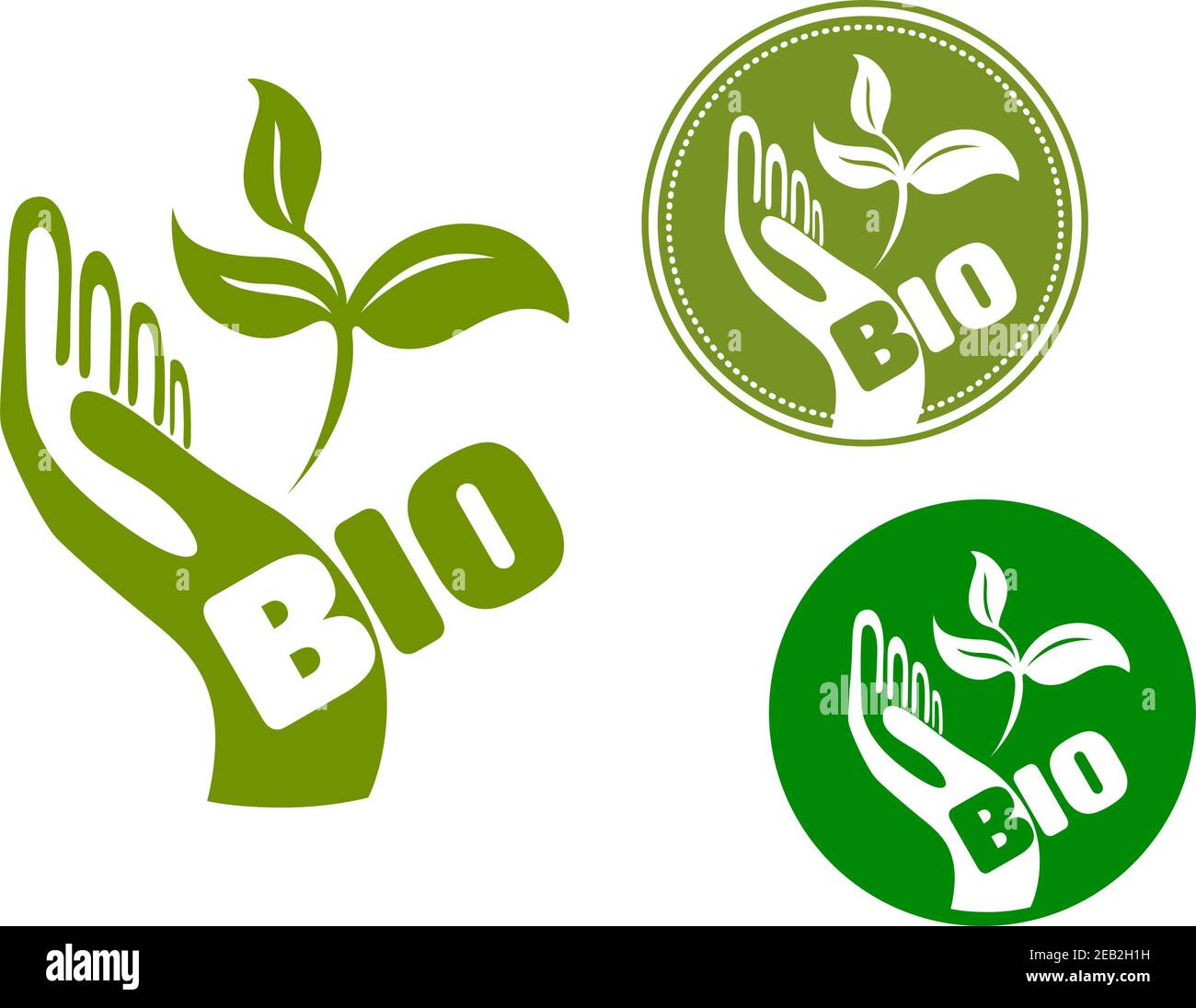 Bio concept with icon of a green hand holding fresh leaves with the ...