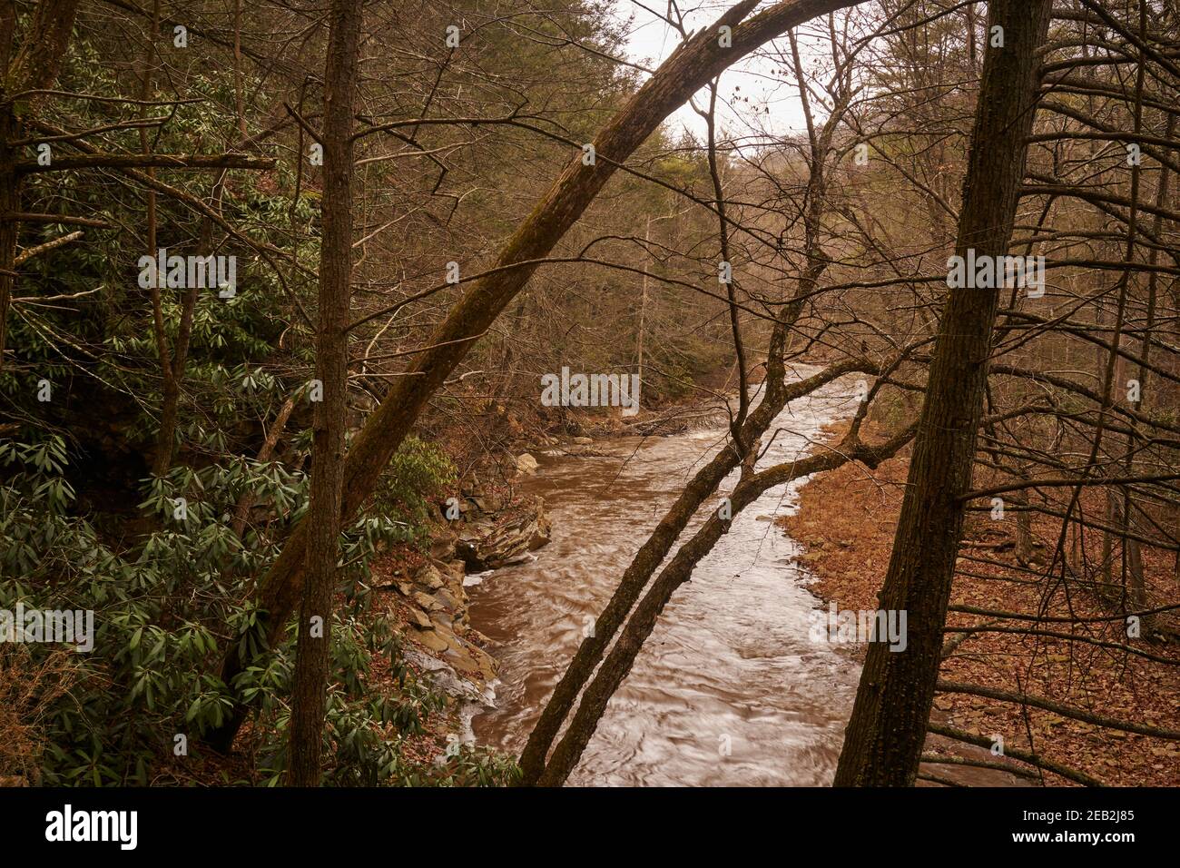 Trough creek hi-res stock photography and images - Alamy
