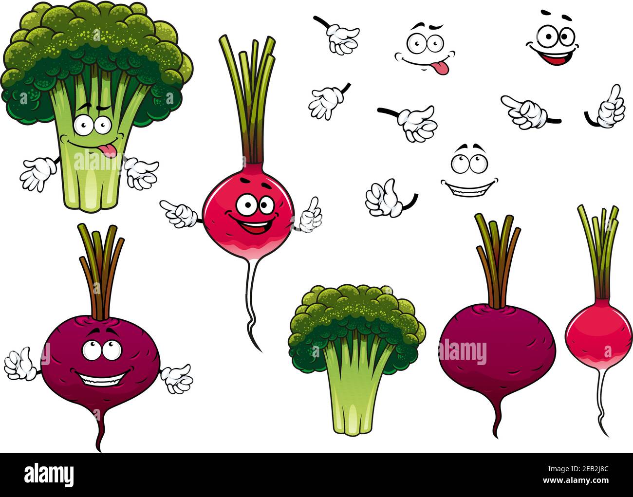 Cartoon green broccoli, crunchy radish and juicy beet vegetables ...