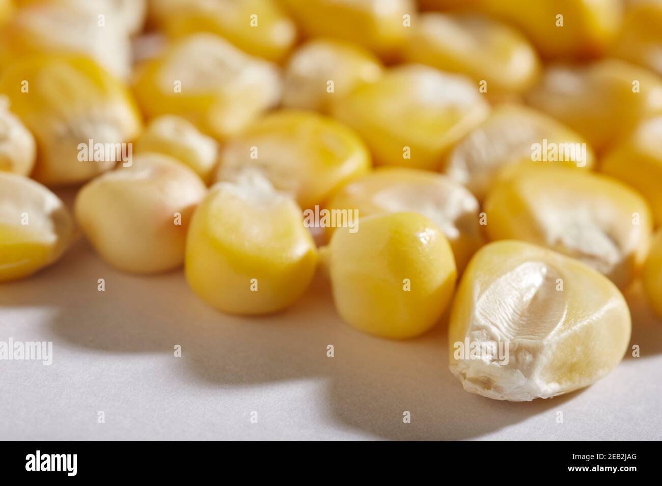 Dent corn hi-res stock photography and images - Alamy