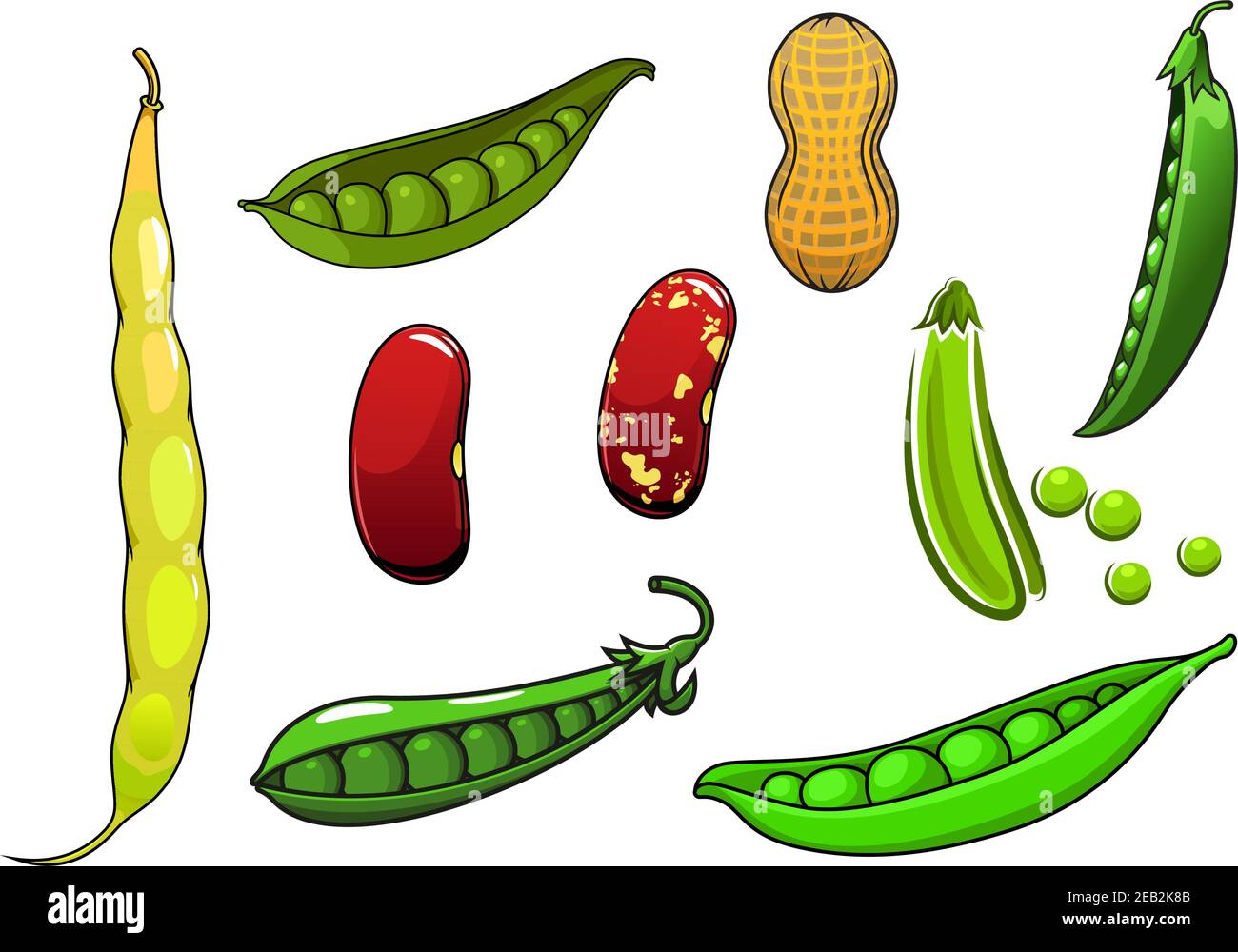 Long pod Stock Vector Images - Alamy