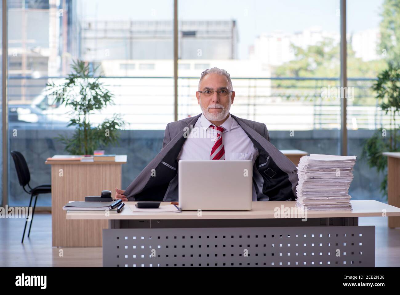 Aged male employee working in the office Stock Photo - Alamy