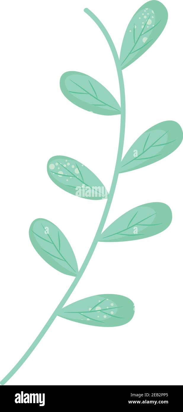 stem with leaves icon over white background, colorful design, vector ...
