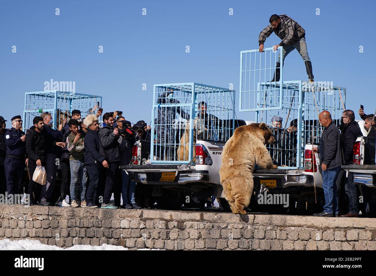 Save our freedom from extinction hi-res stock photography and images ...