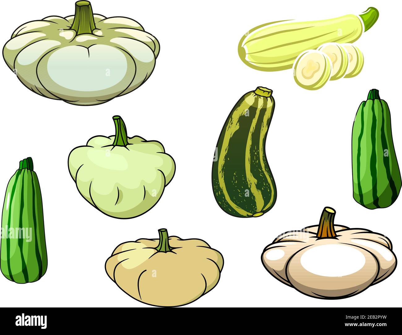 Green striped zucchini, pumpkin and shallow white pattypan squash ...