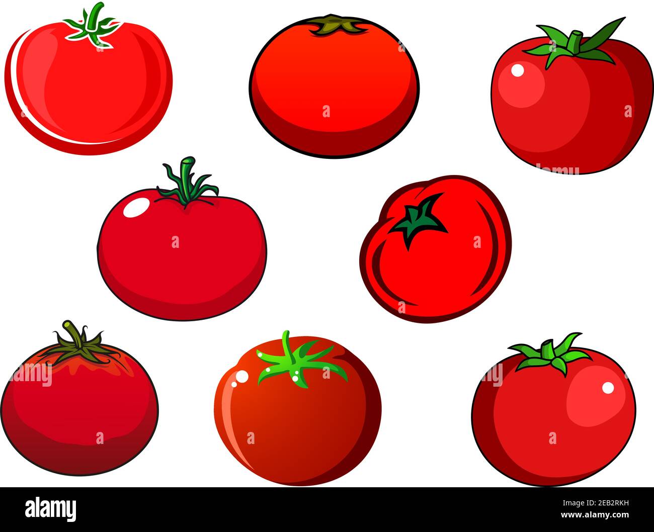 Shiny tomato peel Stock Vector Images - Alamy