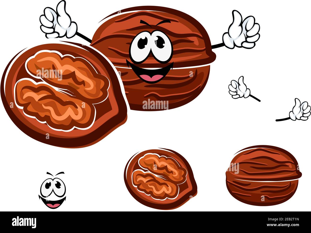 Happy brown cartoon walnut in a whole and halved form with the shell ...