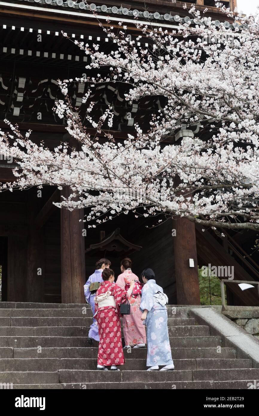 Kyoto Japan Women in Traditional Kimono Entering Gion Temple Under ...