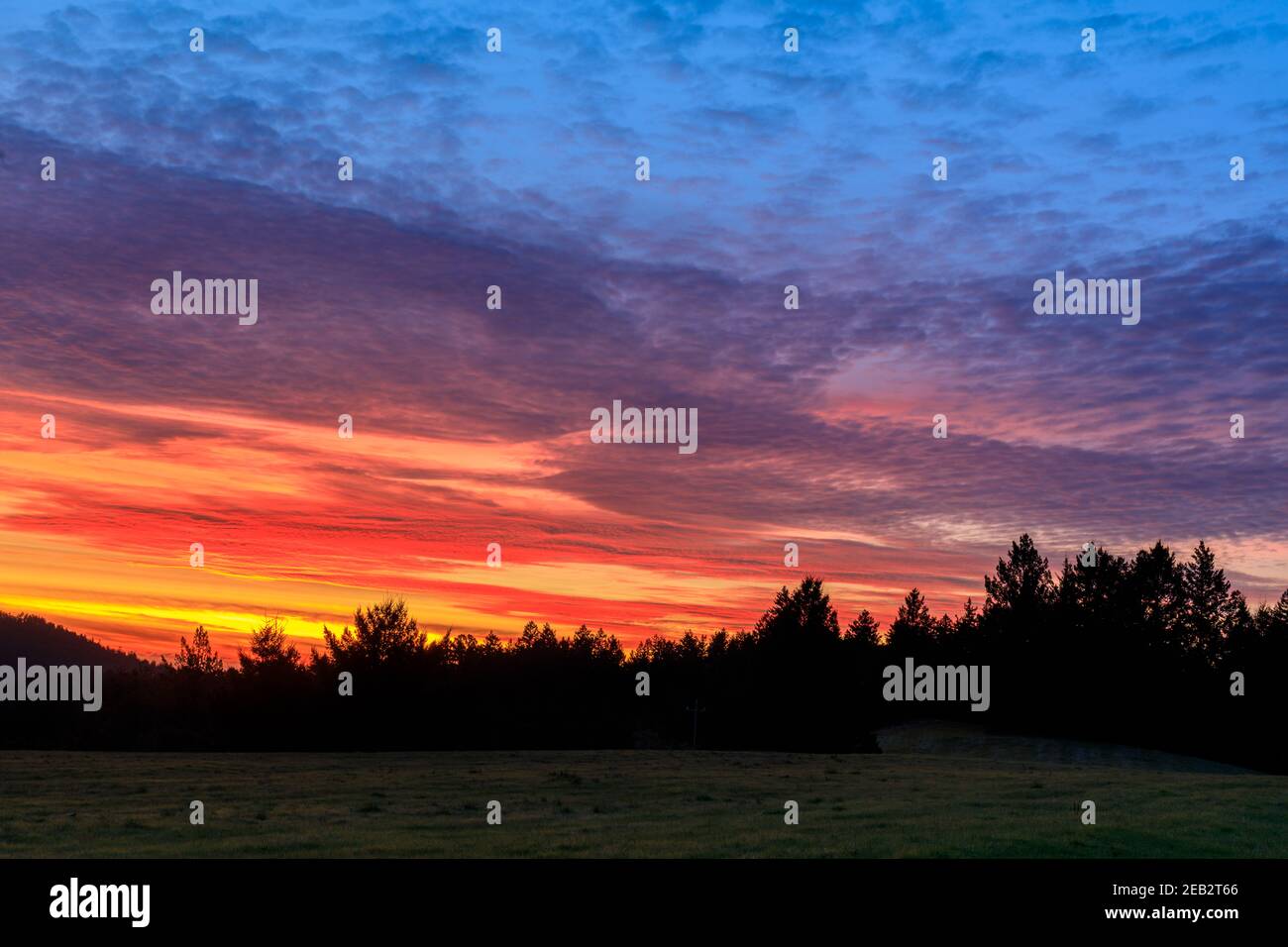 Sam mcdonald park hi-res stock photography and images - Alamy