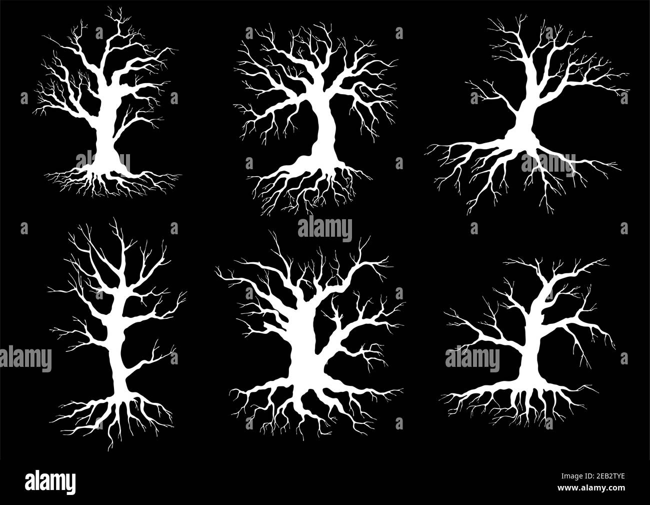 Dead old trees white silhouettes with roots and curved leafless ...