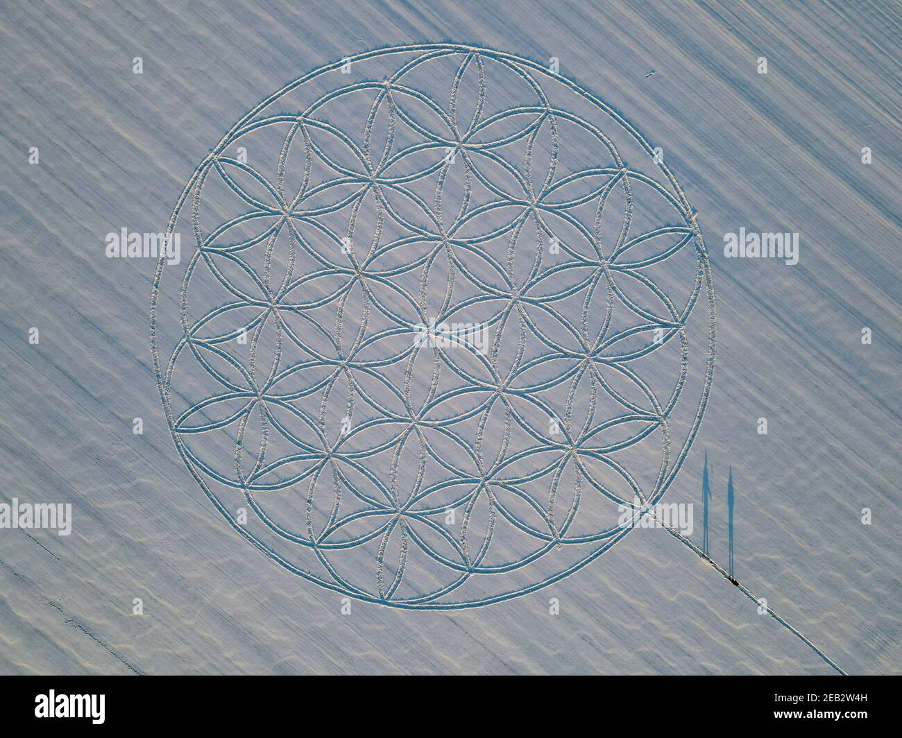 Michael uy hi-res stock photography and images - Alamy