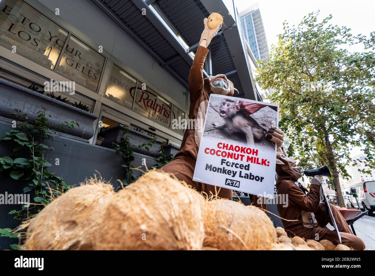 Los Angeles, USA. 11th Feb, 2021. PETA activists dressed in monkey ...