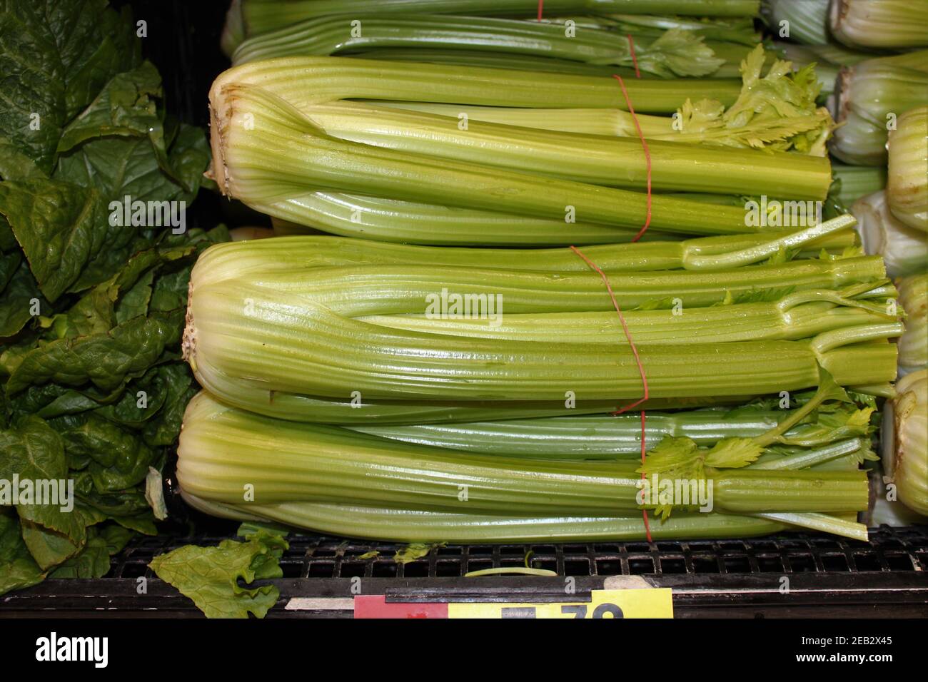 Celery shot closeup at a grocery store in the fresh vegetable section ...