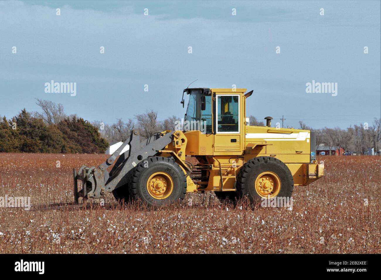 Heavy Equipment front end loader in a cotton field with fork lift ...
