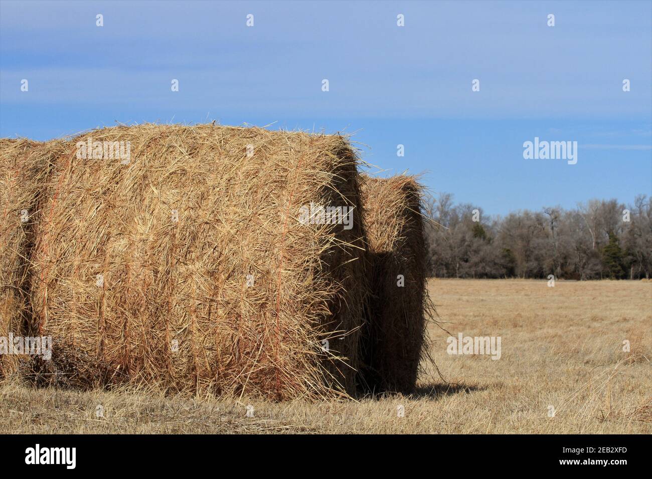 Kansas Country Hay bales out in the country with blue sky in a farm ...