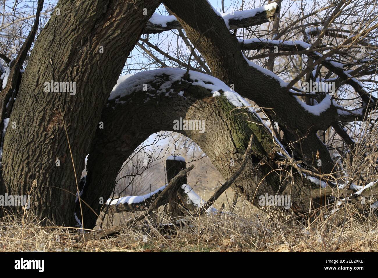 Kansas colorful landscape with tree's, snow and sky that's bright and ...