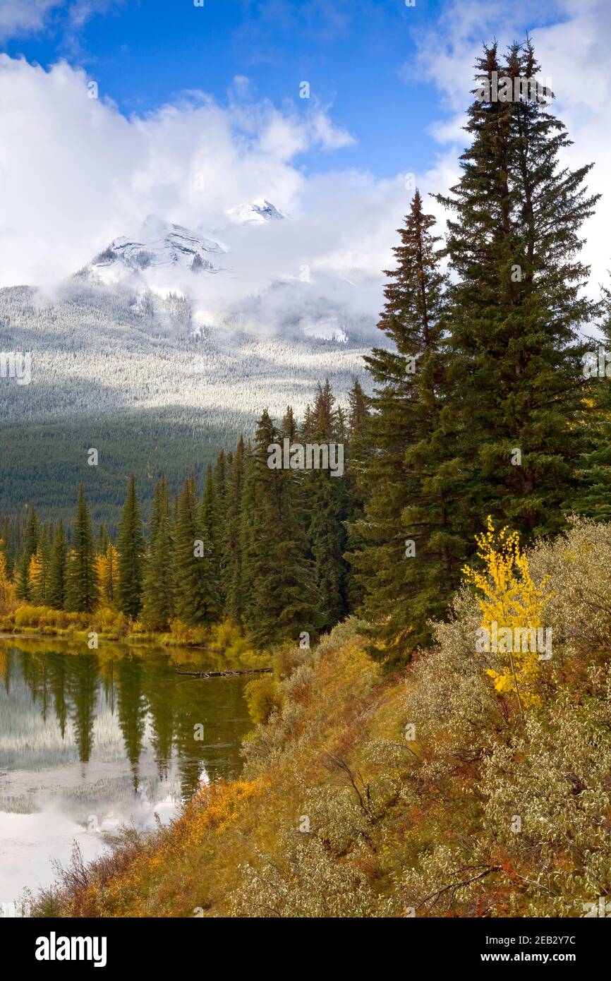 Early autumn snow fall in Banff National Park, Alberta, Canada Stock ...