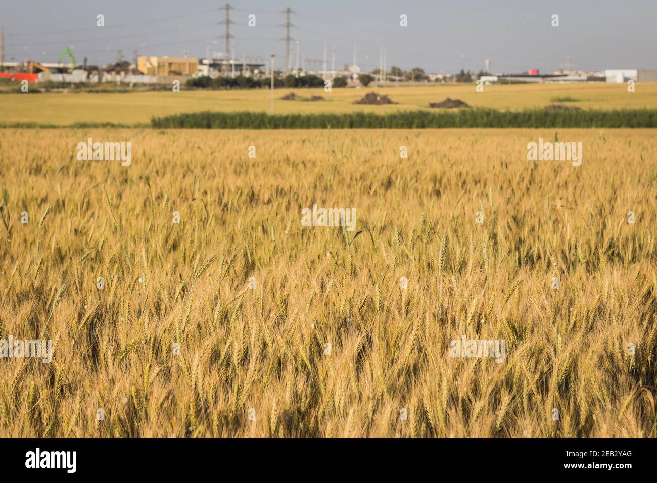 Moshav hi-res stock photography and images - Alamy