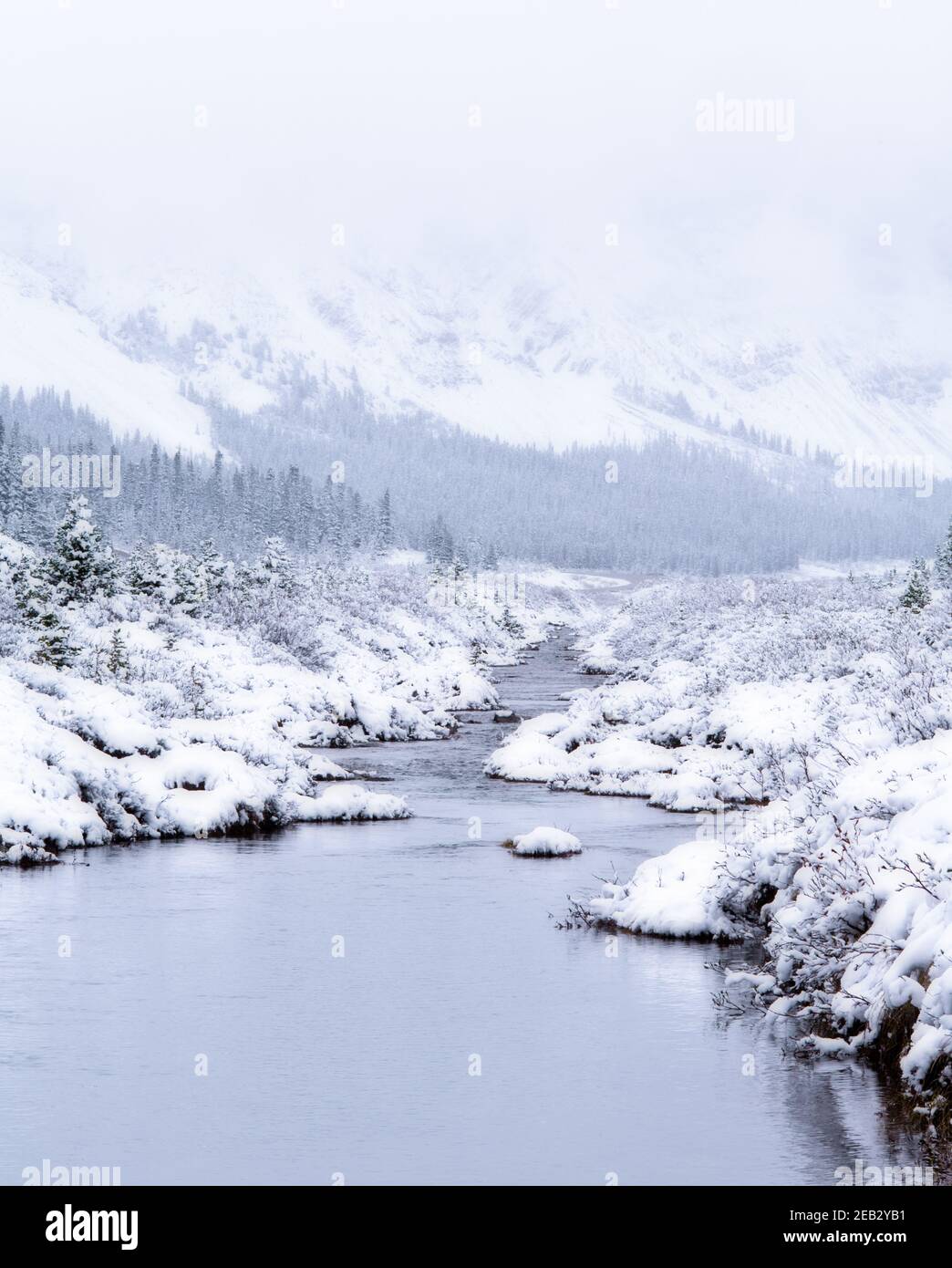Rain forest jasper hi-res stock photography and images - Alamy