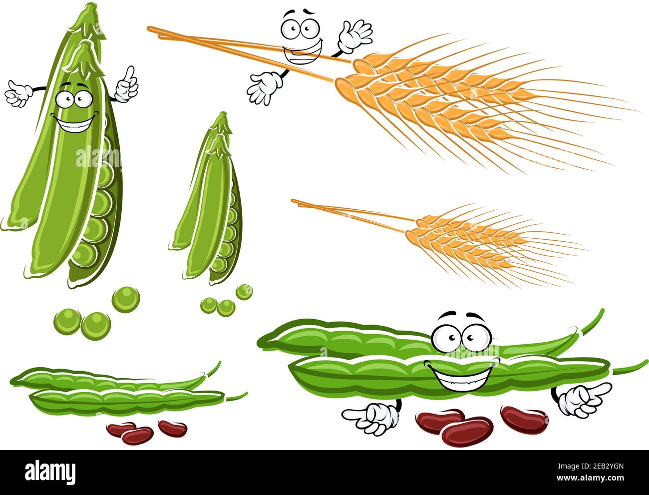 Field bean pods Stock Vector Images - Alamy