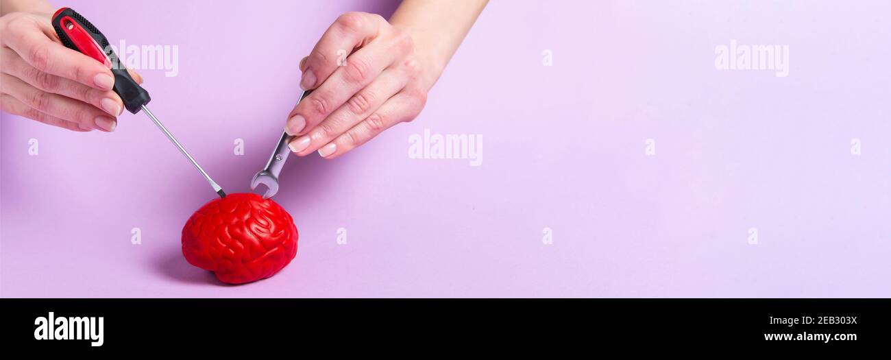 Hands fixing a model of a red brain with a screwdriver and a wrench on ...