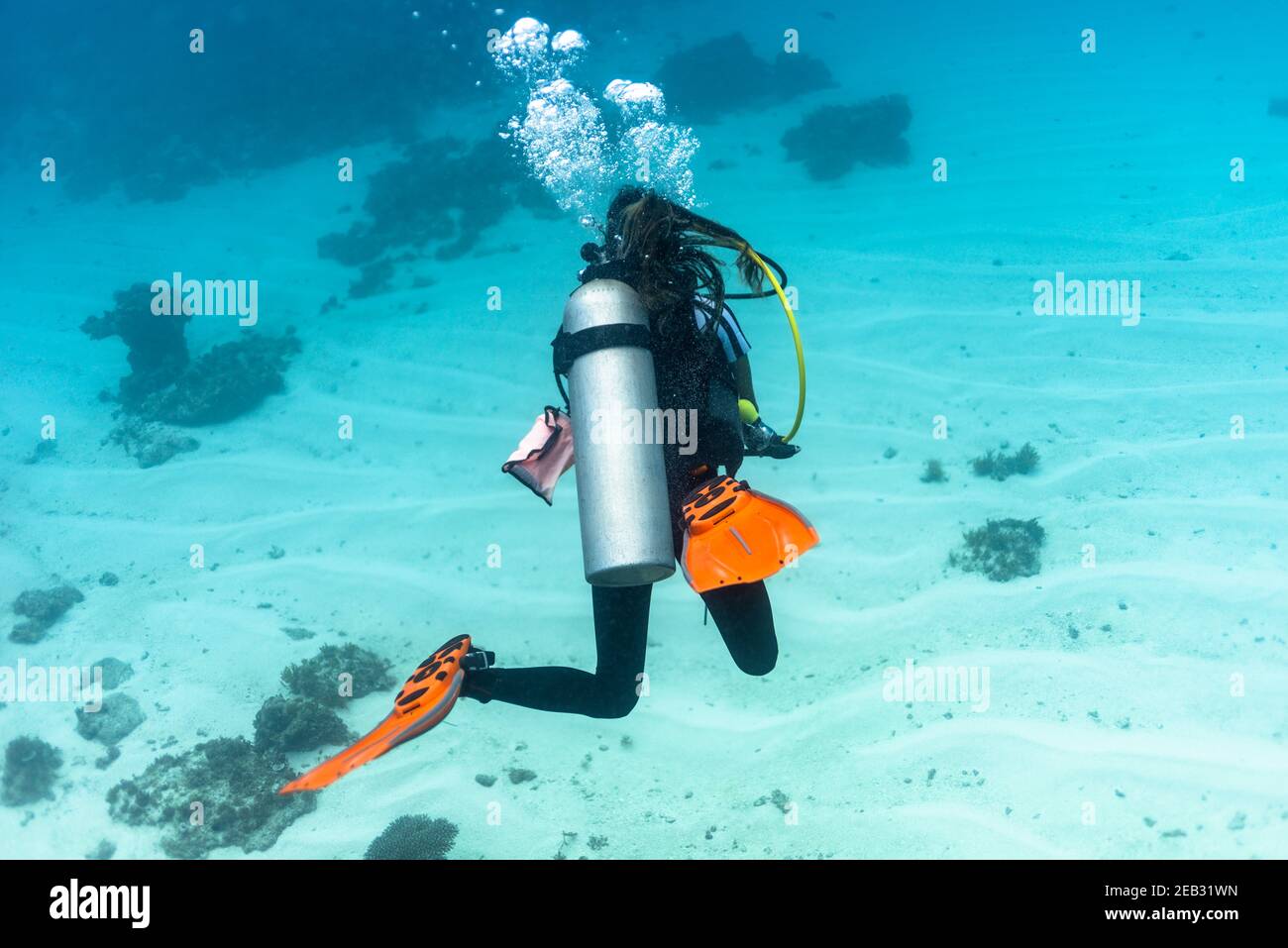 Girl diving into water bottom hi-res stock photography and images - Alamy