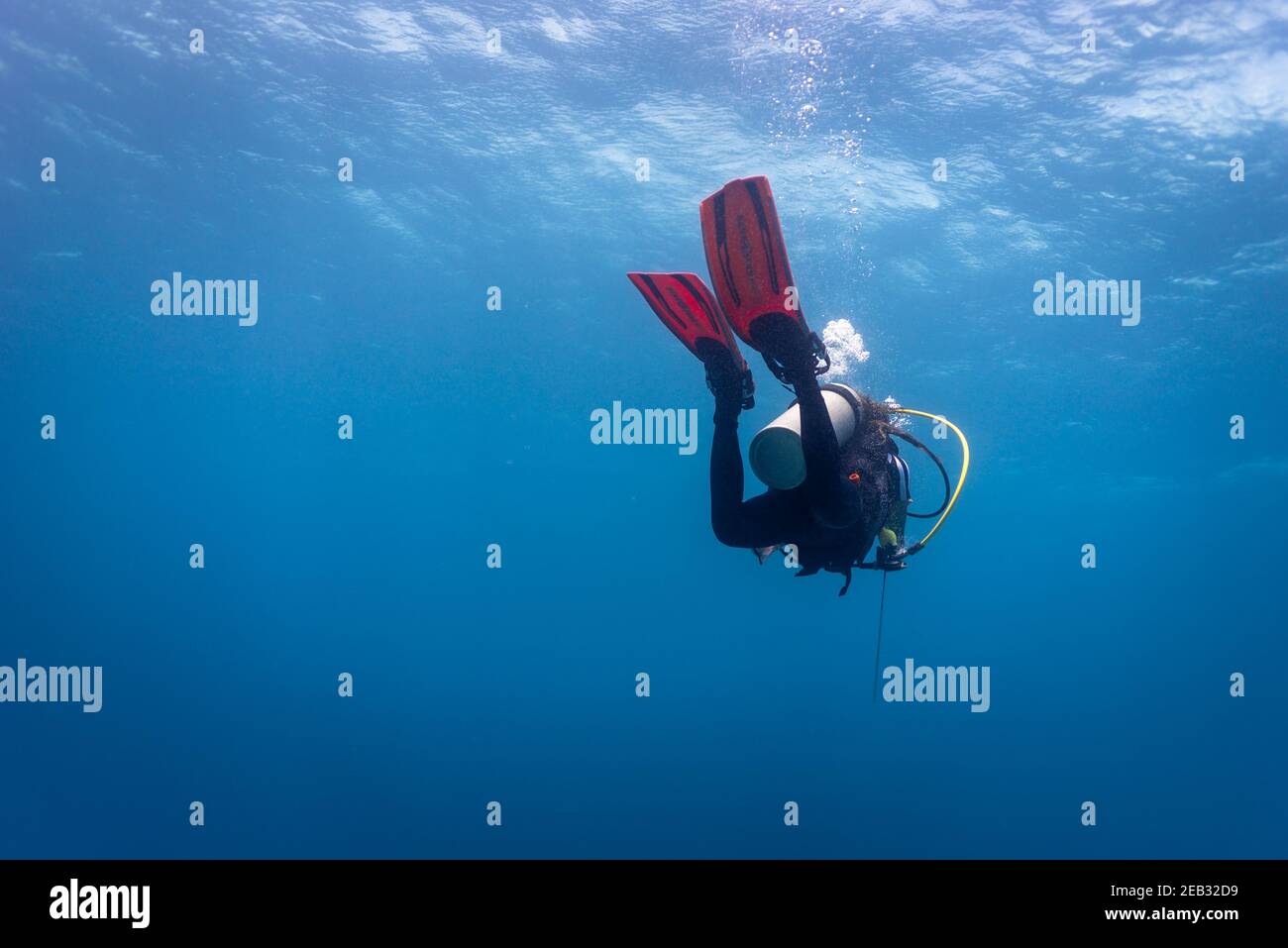 Scuba diving in fins girl hi-res stock photography and images - Alamy