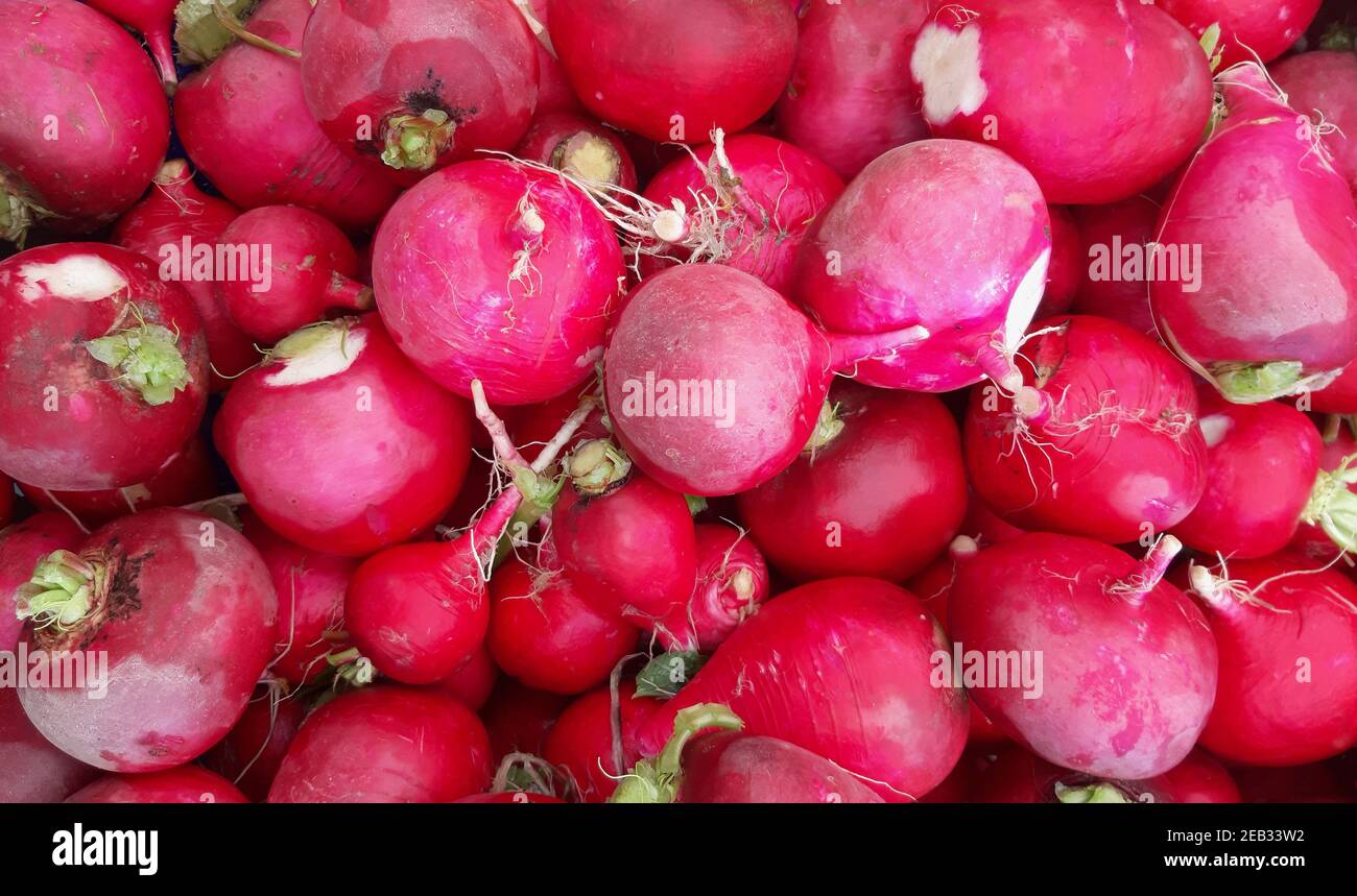 Redish background hi-res stock photography and images - Alamy