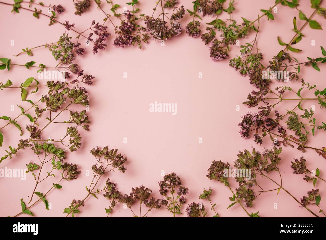 small flowers as a frame on a pink background, a place for an ...