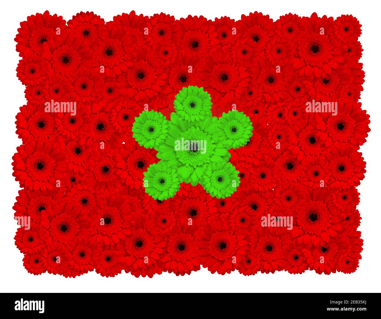 Moroccan flag made of gerbera flowers, isolated on white Stock Photo ...
