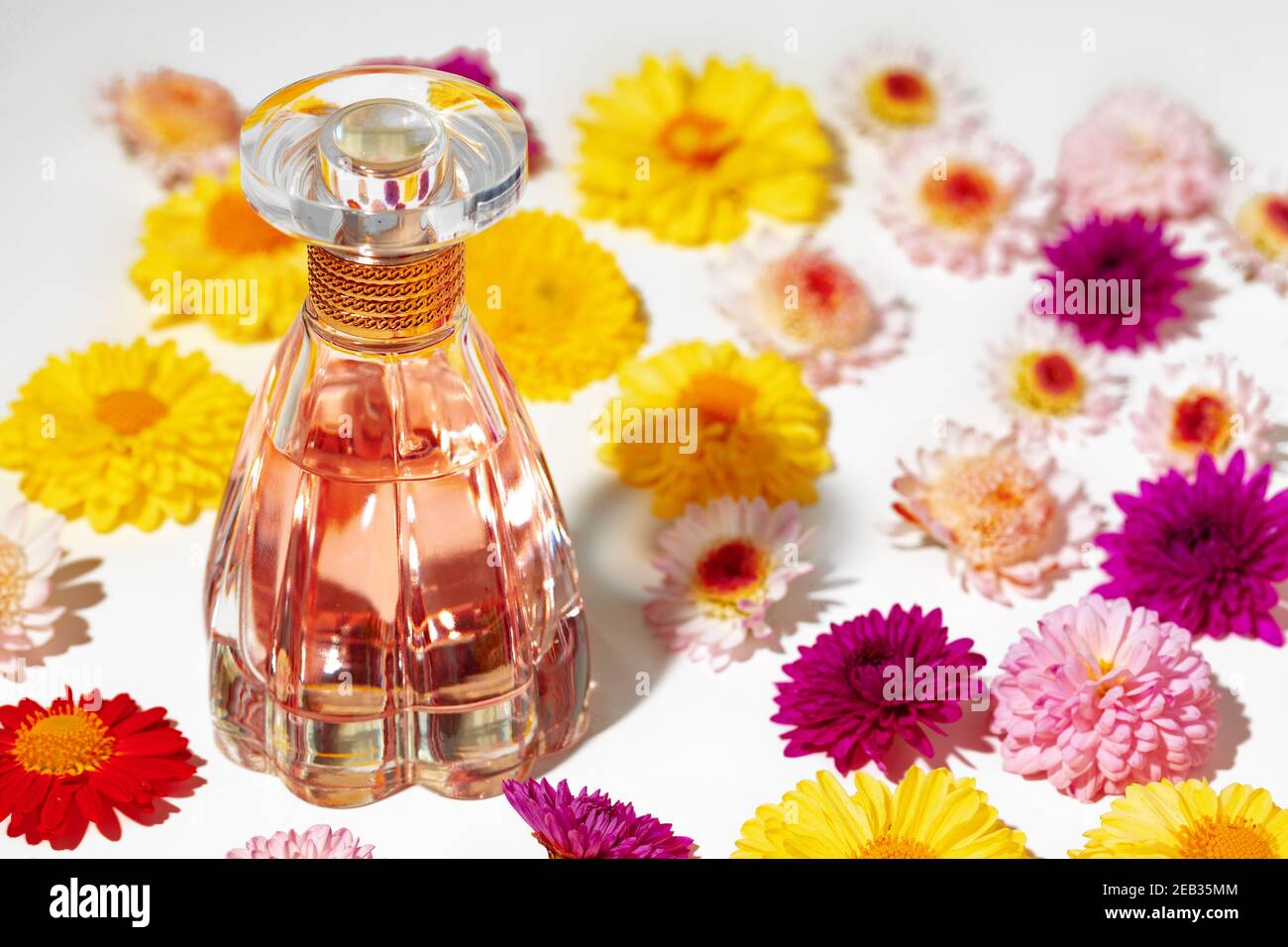 Perfume bottle for women in flower buds Stock Photo - Alamy