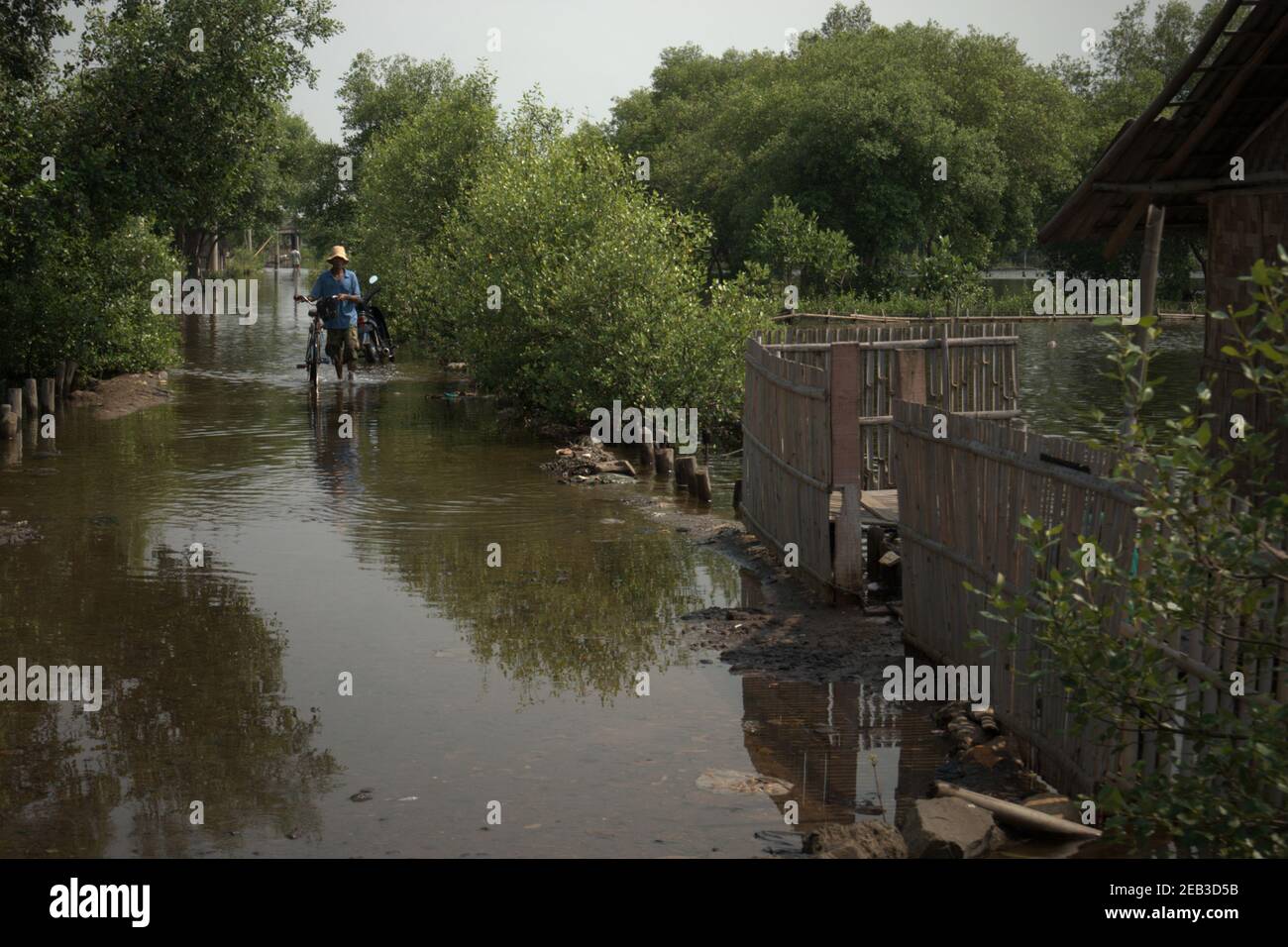 Jakarta mangrove area hi-res stock photography and images - Alamy