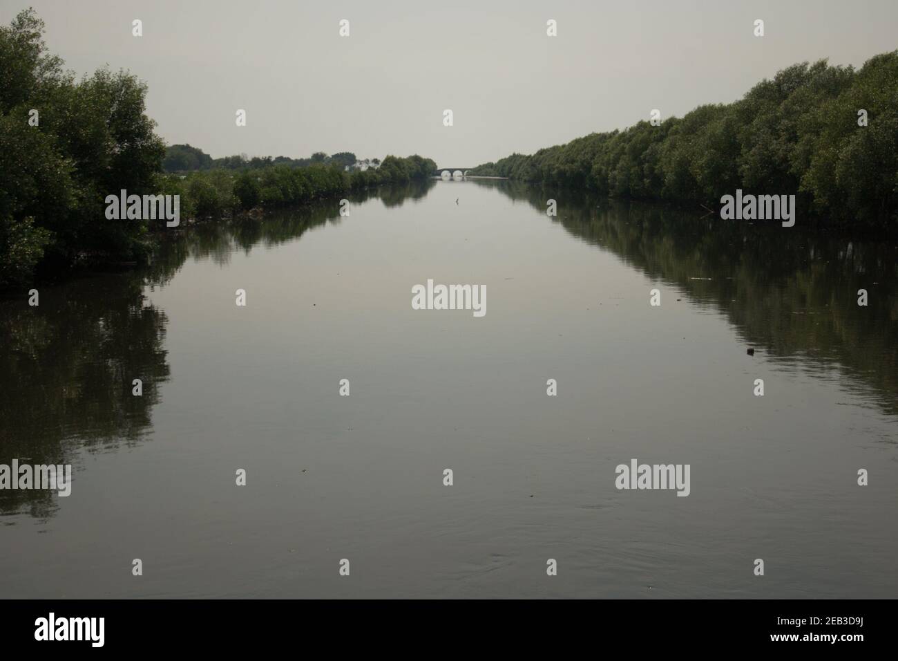 A waterway leading to the sea, located in the middle of "Kapuk Angke ...