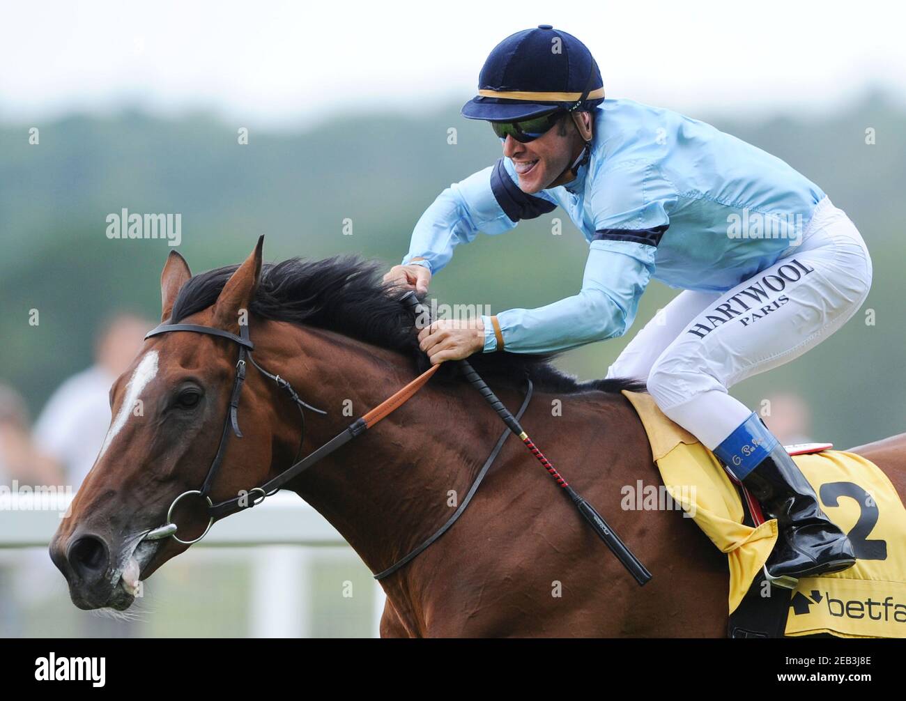 Harbinger horse hi-res stock photography and images - Alamy