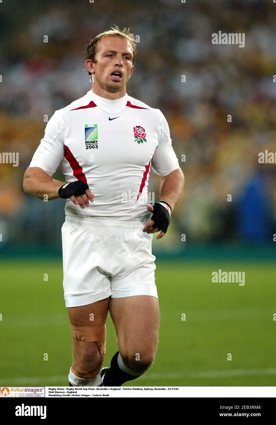 Matt dawson england hi-res stock photography and images - Alamy