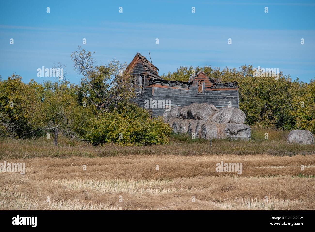 Abandoned homestead, Rural Municipality of Churchbridge, Saskatchewan ...