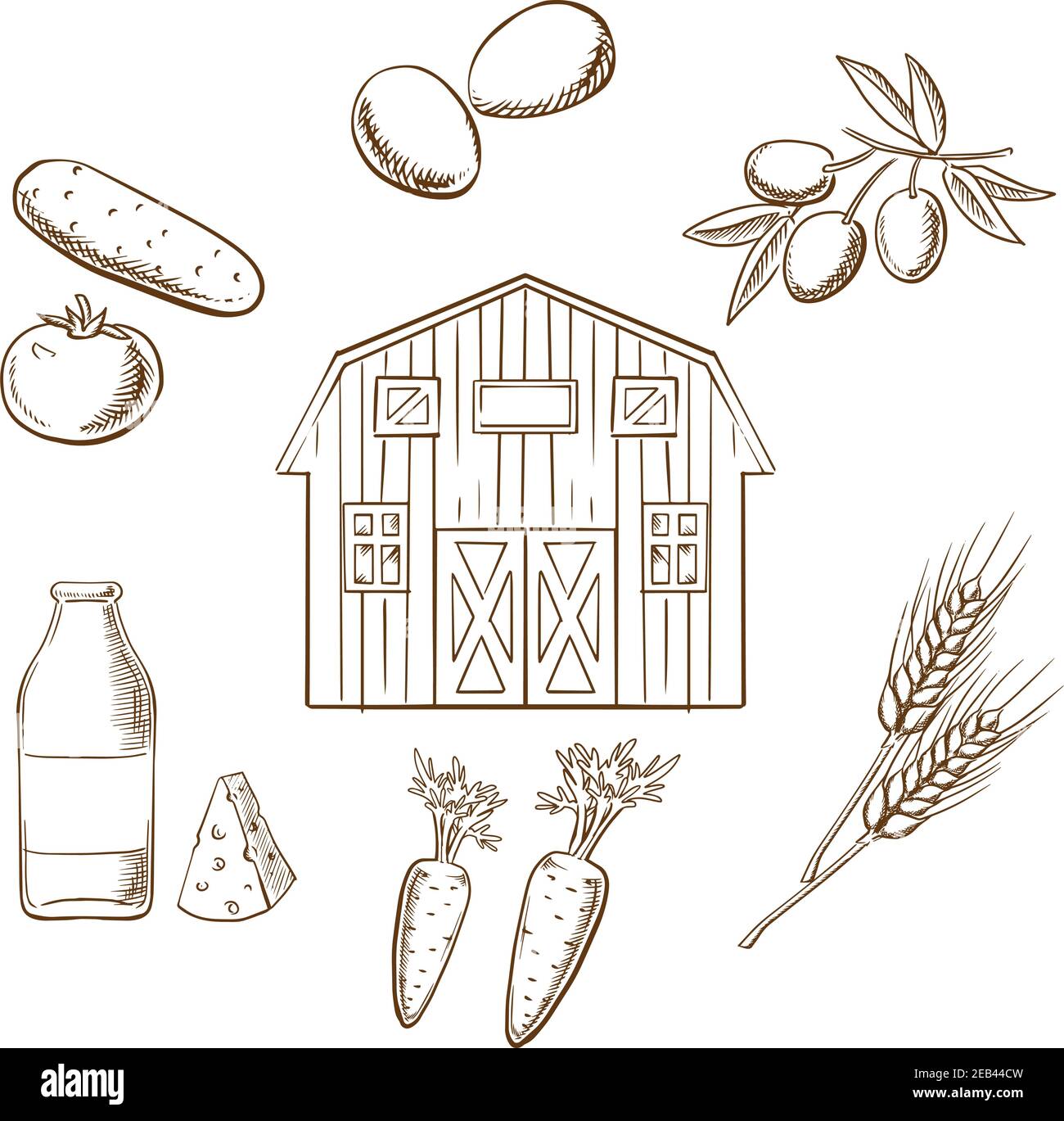 Farming and agriculture sketch design showing various crop arranged in ...