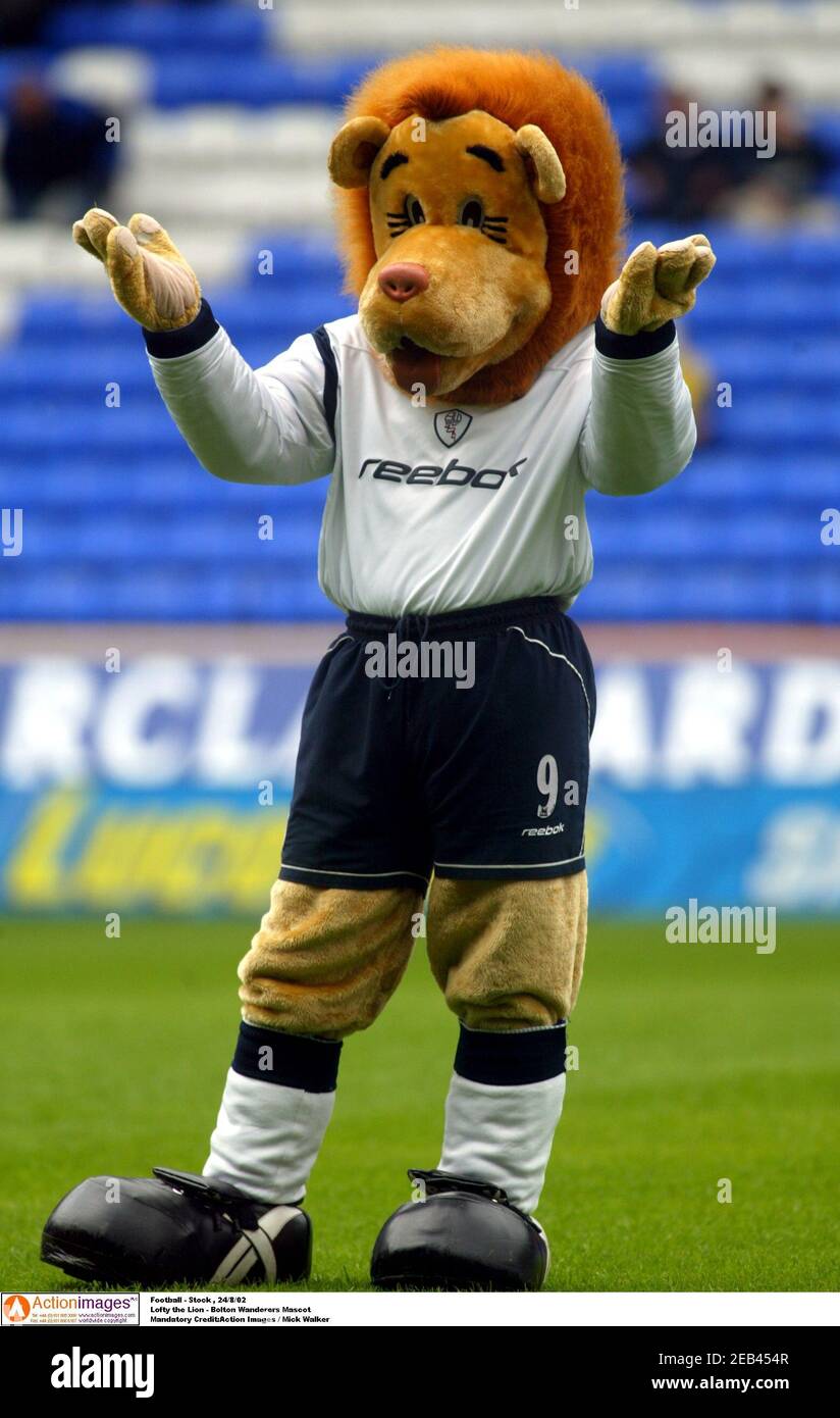Football Mascot Lion High Resolution Stock Photography and Images - Alamy