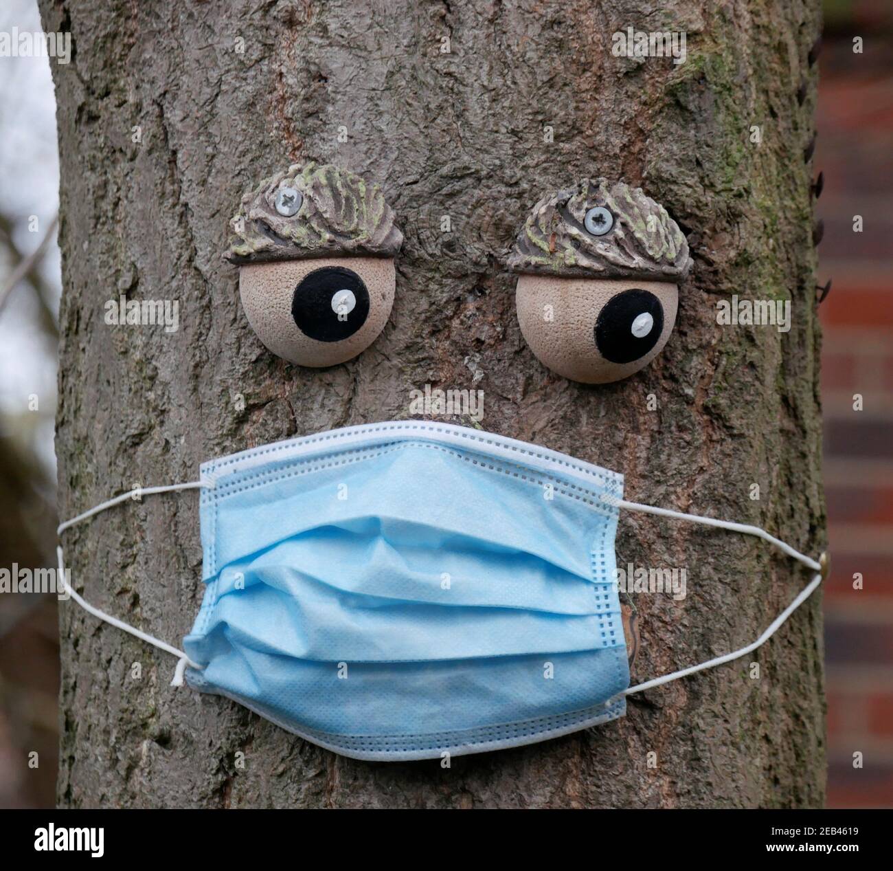 Funny face on a tree trunk with disposable mask due to Covid 19 Stock ...